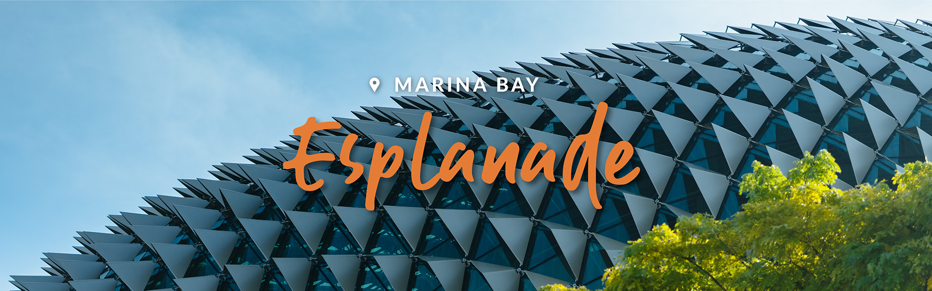 Registration – IOI 2020 Singapore